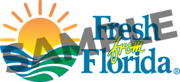 florida logo