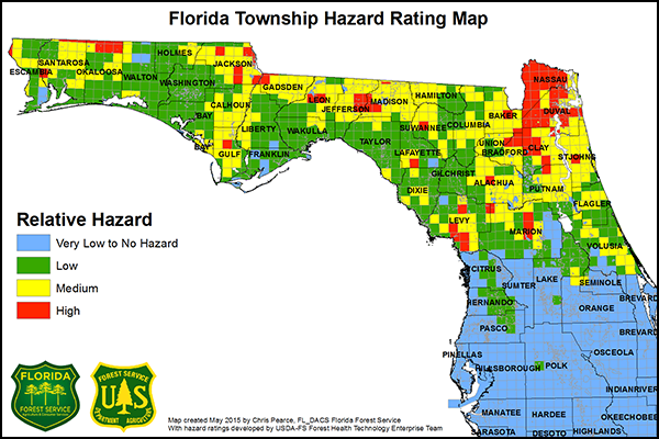 southern pine beetle range