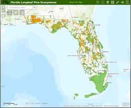 longleaf pine forest range