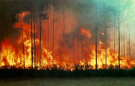 natural fire example