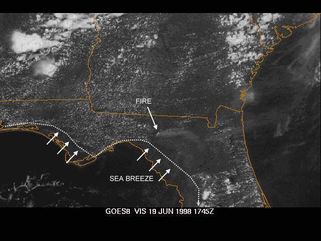 Sea And Land Breezes Animation